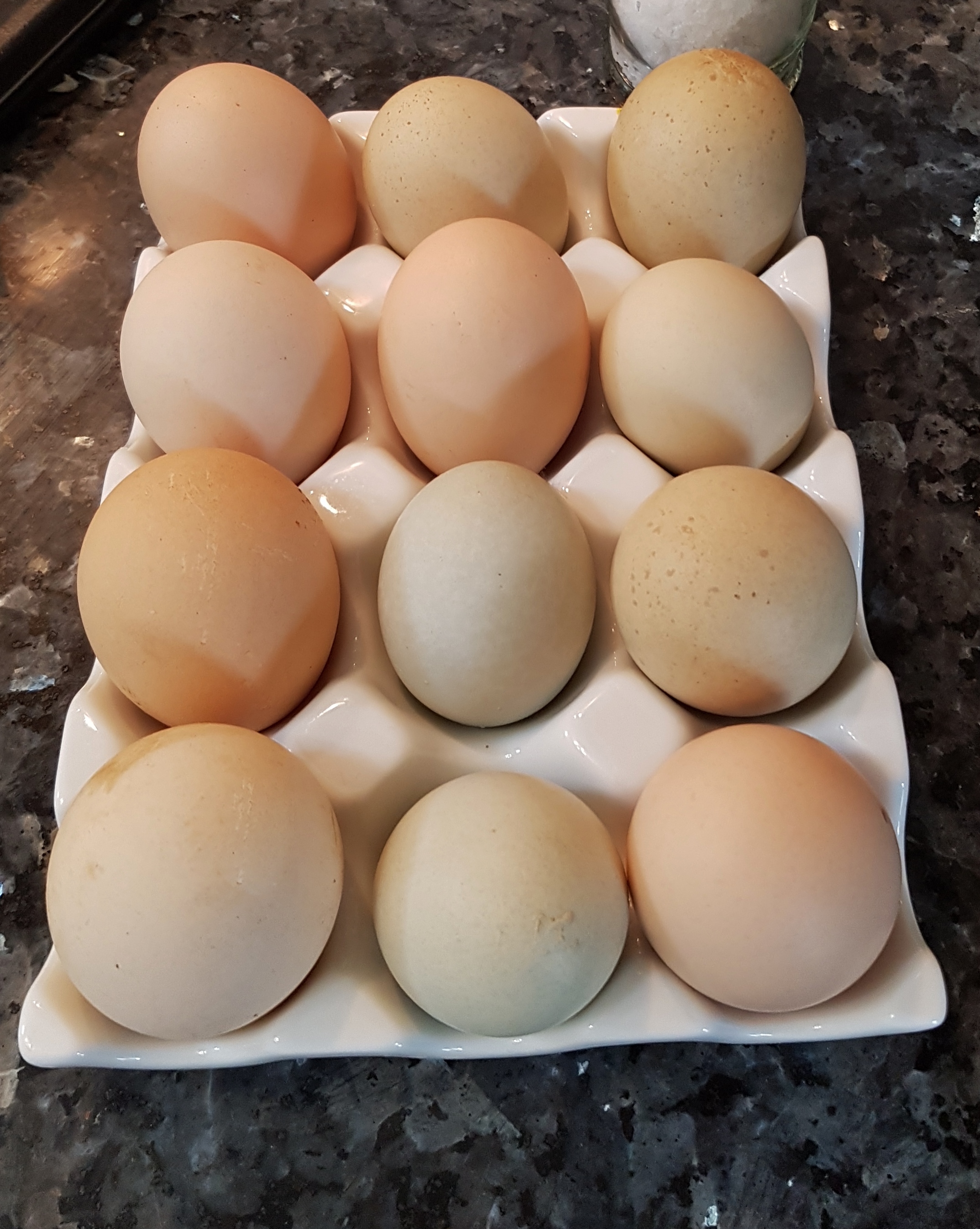 How to Recycle Cow Manure and Eggshells for a Healthy Garden! – Making ...