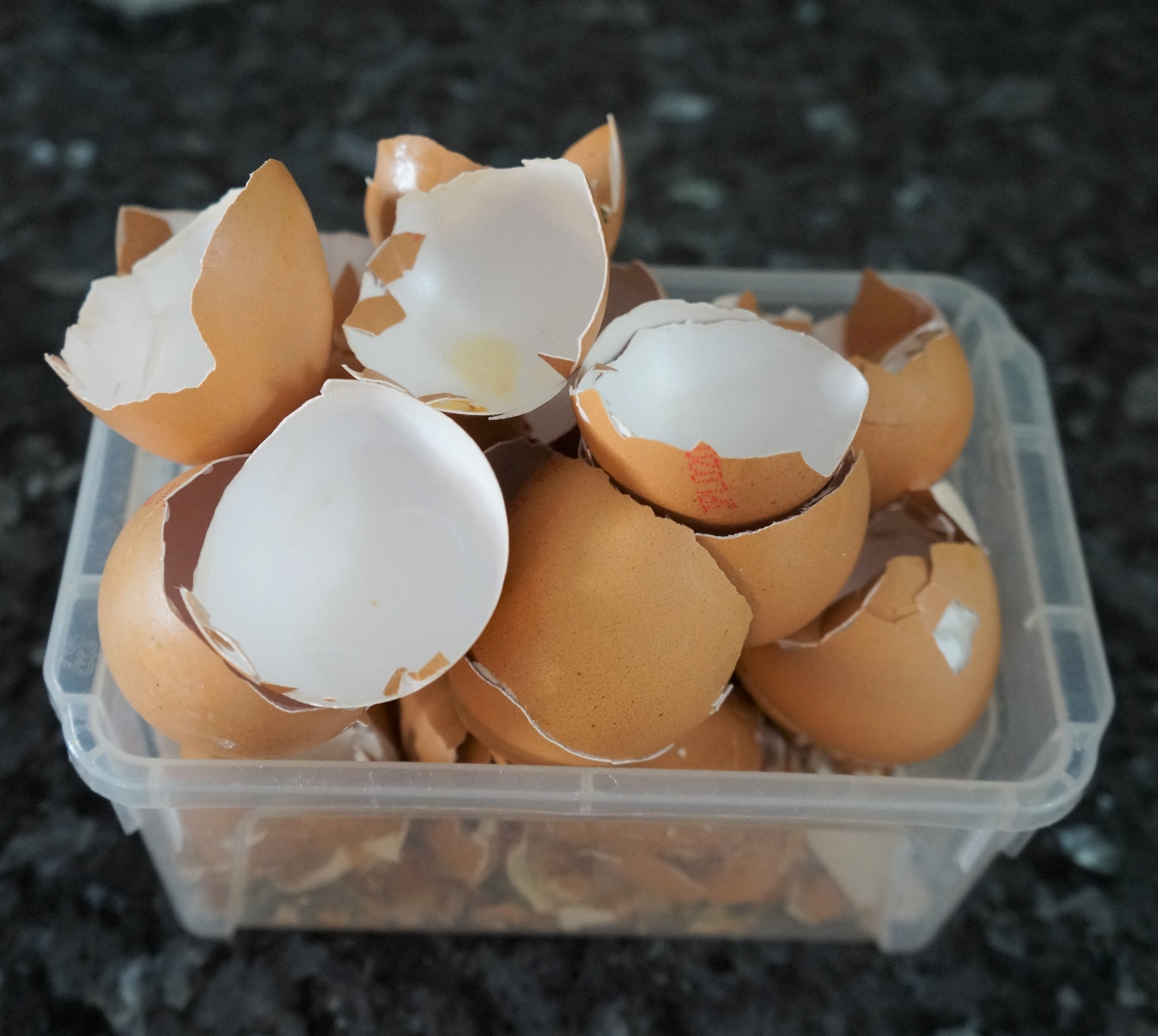 How to Recycle Cow Manure and Eggshells for a Healthy Garden! – Making ...