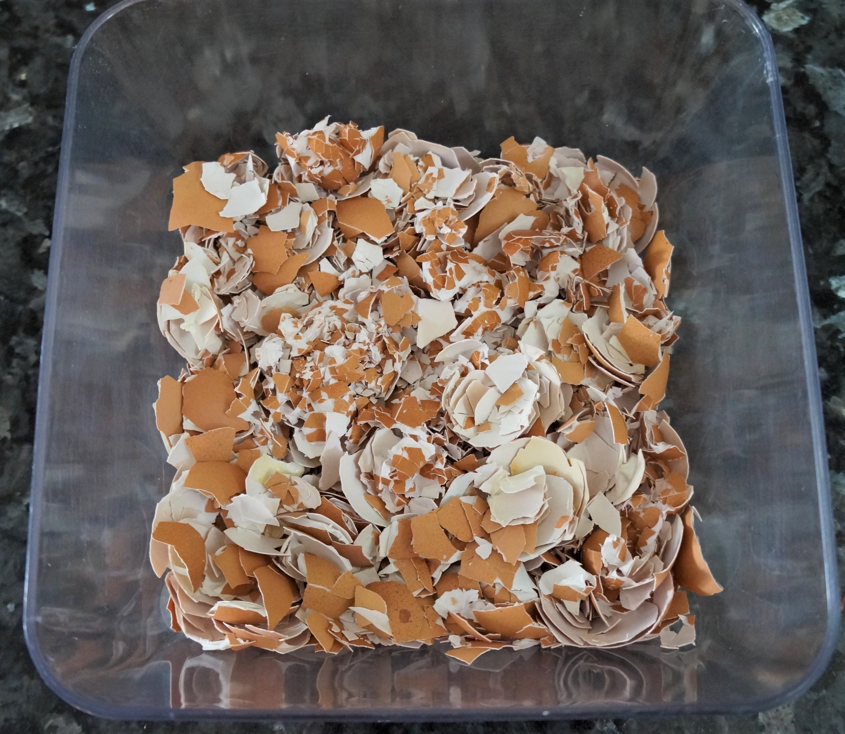 How to Recycle Cow Manure and Eggshells for a Healthy Garden! – Making ...